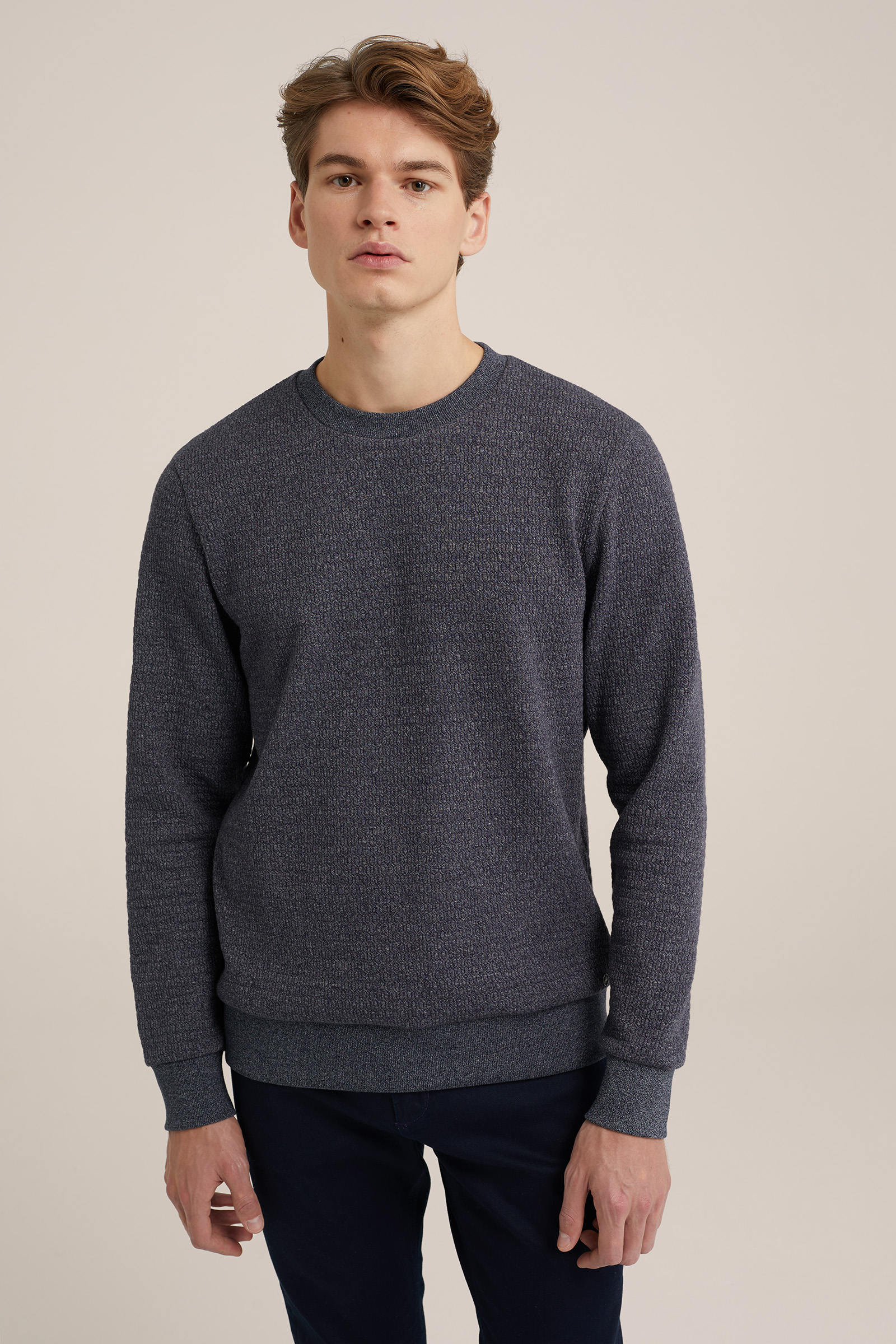 Heren sweater met structuur | wefashion.com