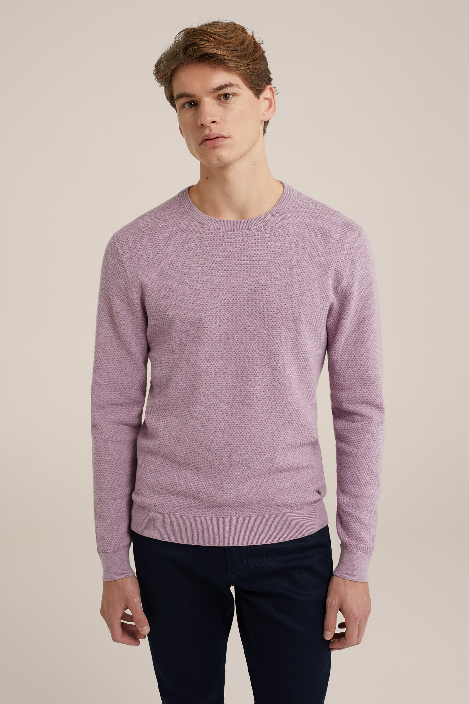 Pull de fin jersey à structure homme | wefashion.com