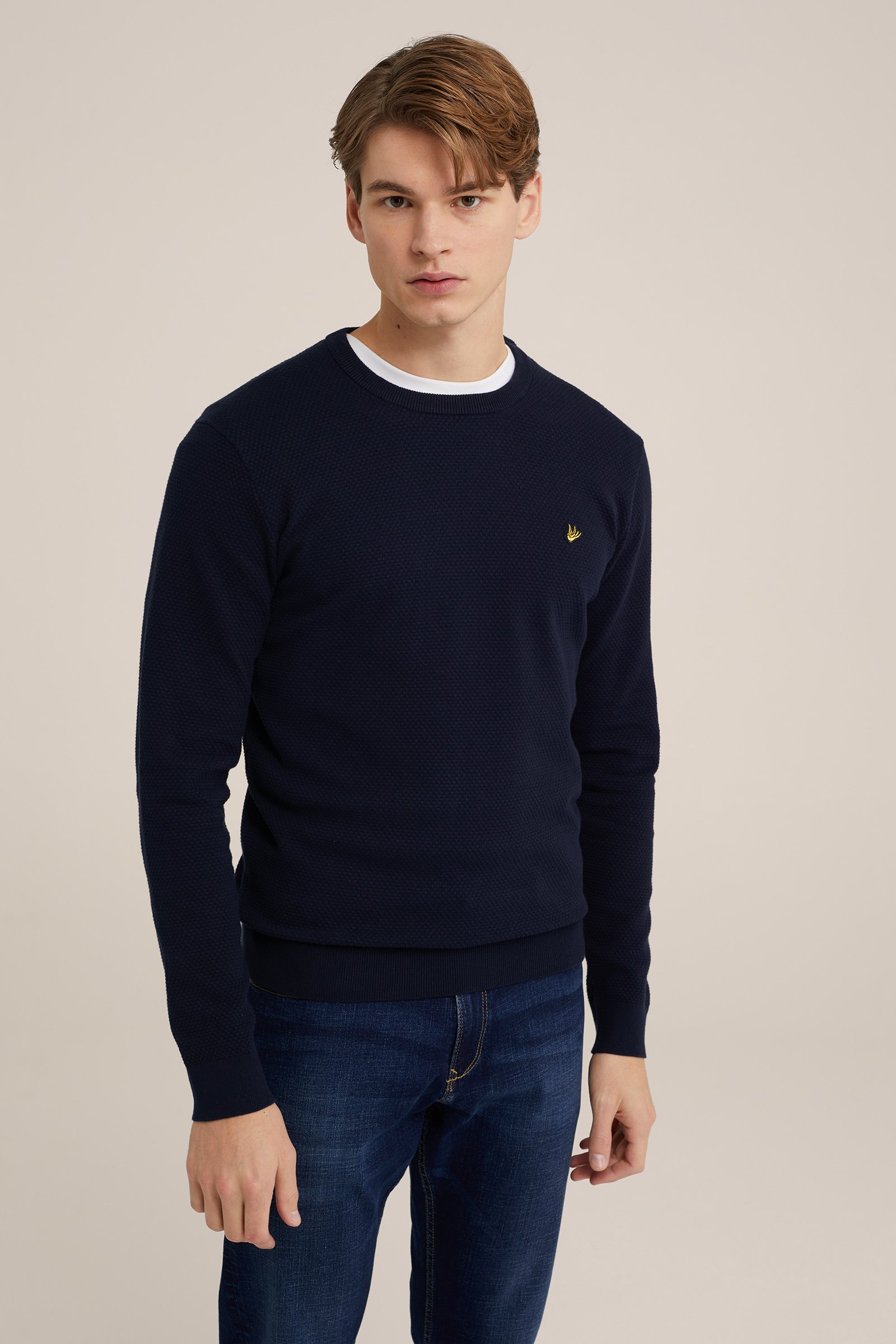 Pull de fin jersey à structure homme | wefashion.com