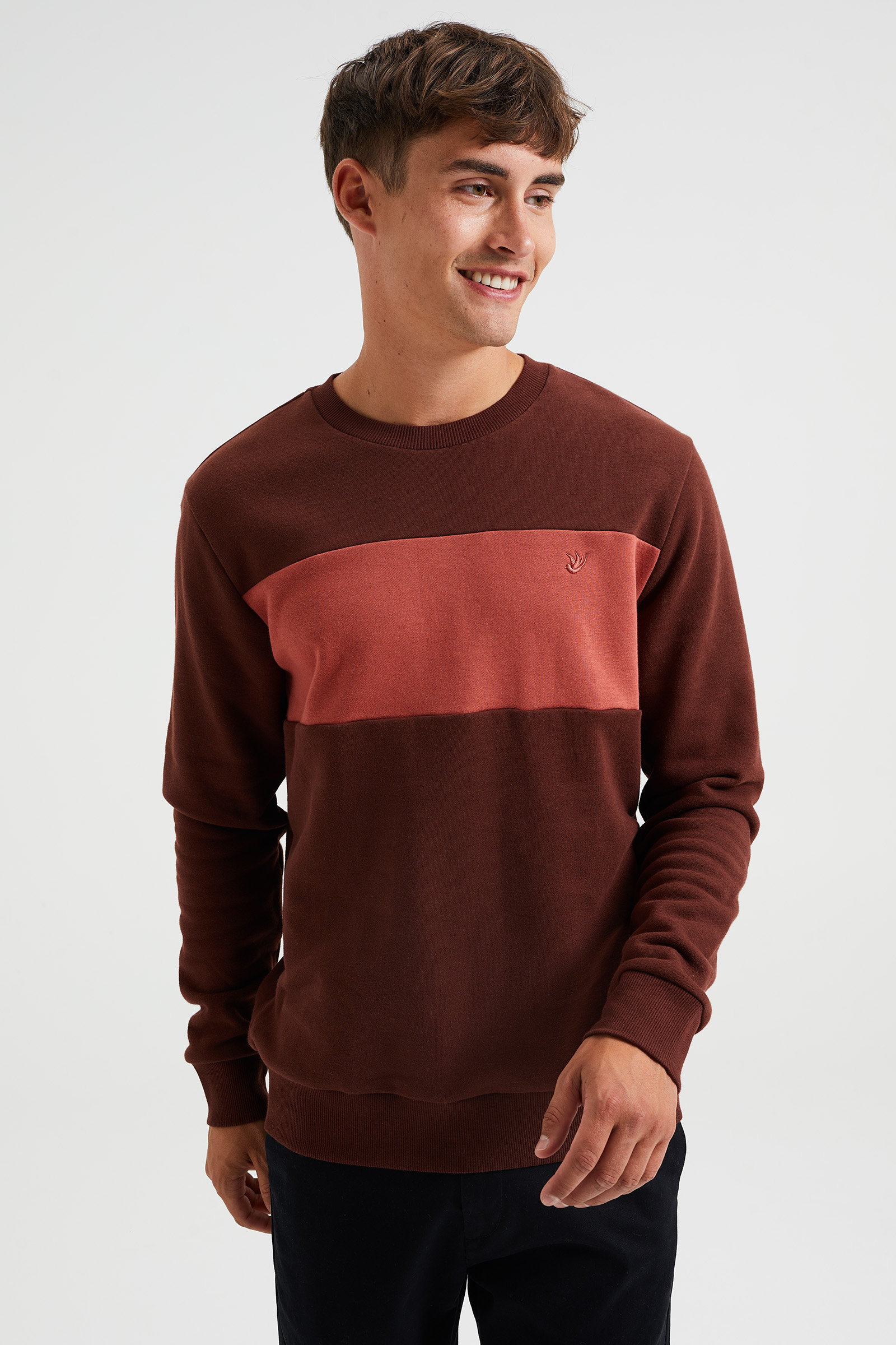 Heren sweater met colourblock | wefashion.com
